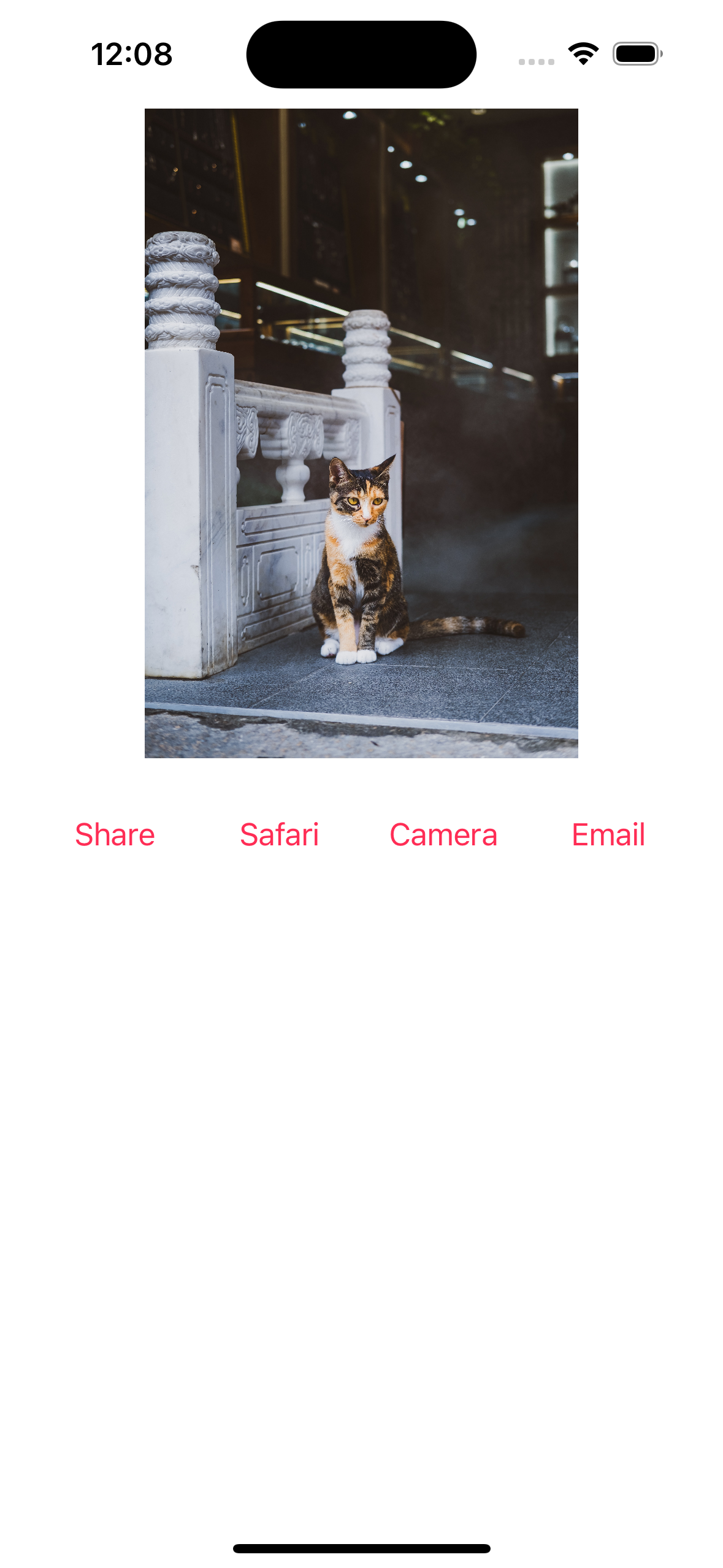 GitHub - aycaisik/MyApp-Swift