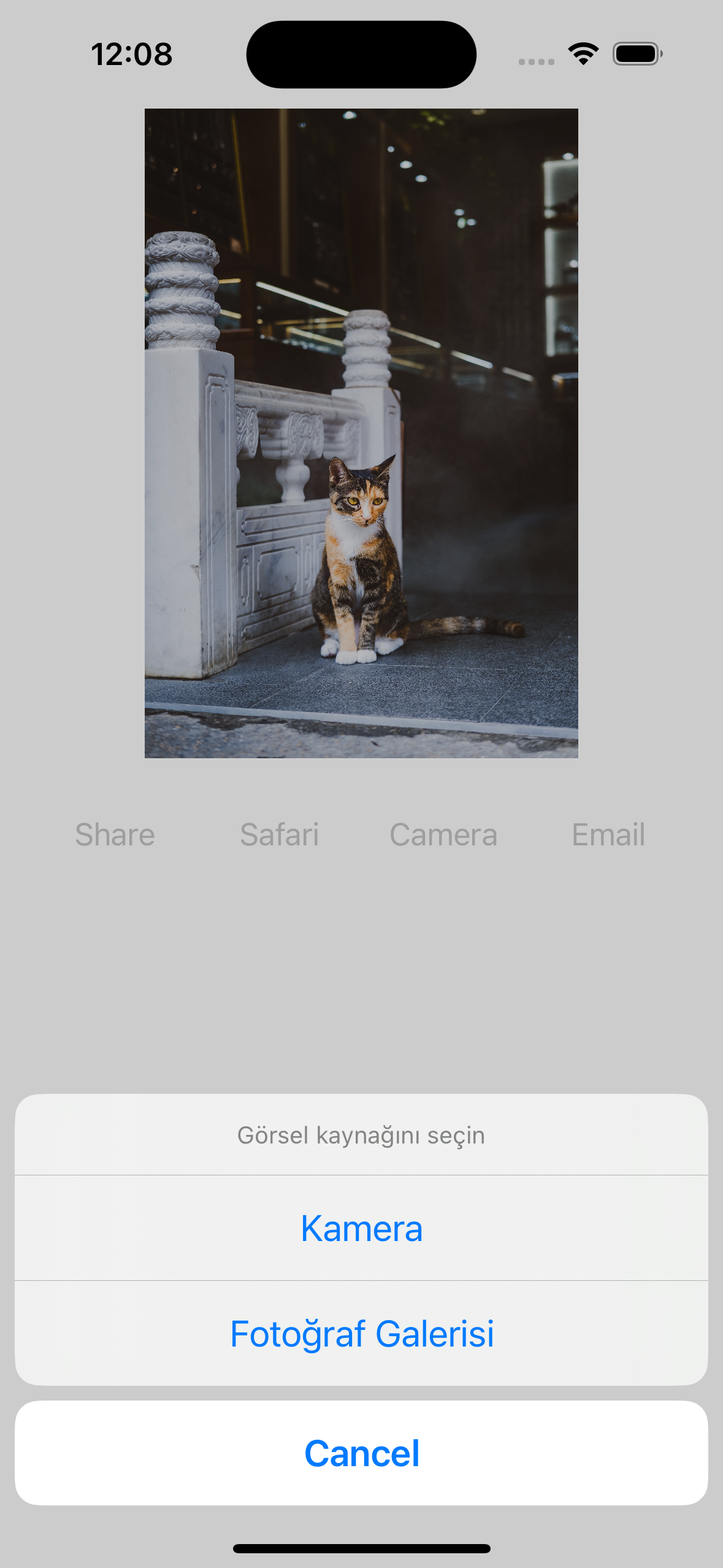 GitHub - aycaisik/MyApp-Swift