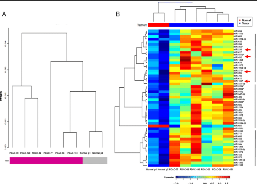 GitHub - Mayuresh31/NETFLIX-MOVIES-AND-TV-SHOW-CLUSTERING