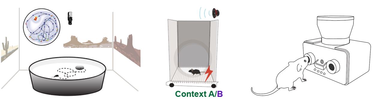 GitHub - uacom/Behavior-Analysis-Graphing