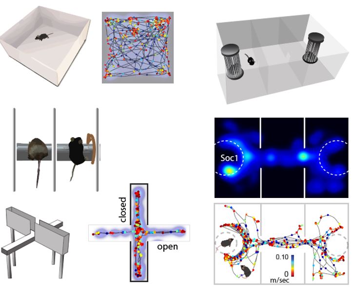 GitHub - uacom/Behavior-Analysis-Graphing