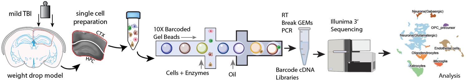 GitHub - uacom/single-cell-RNAseq