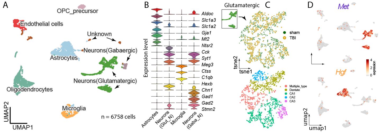 GitHub - uacom/single-cell-RNAseq