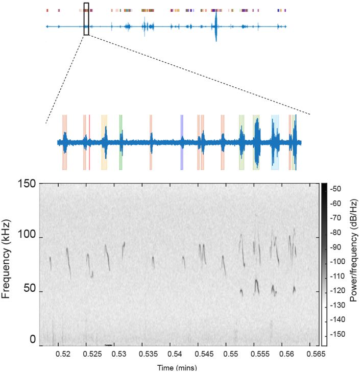 GitHub - uacom/Behavior-Analysis-Graphing