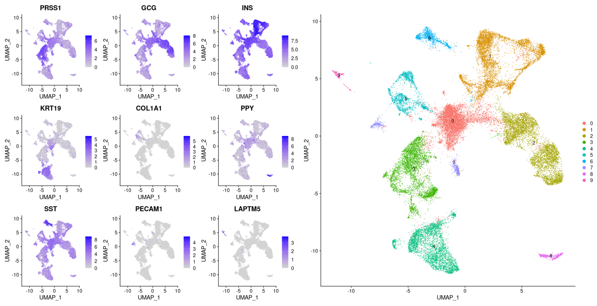 GitHub - SueChear/Singlecell_RNAseq-pipeline
