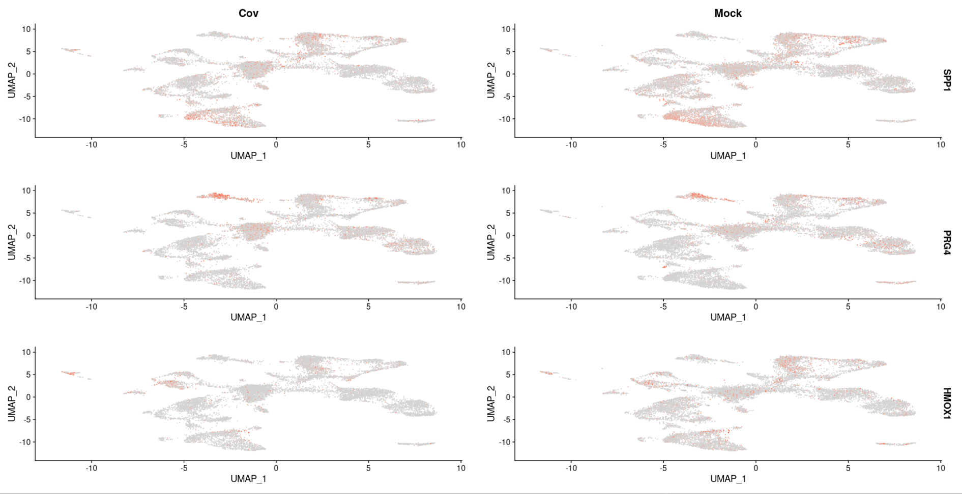 GitHub - SueChear/Singlecell_RNAseq-pipeline