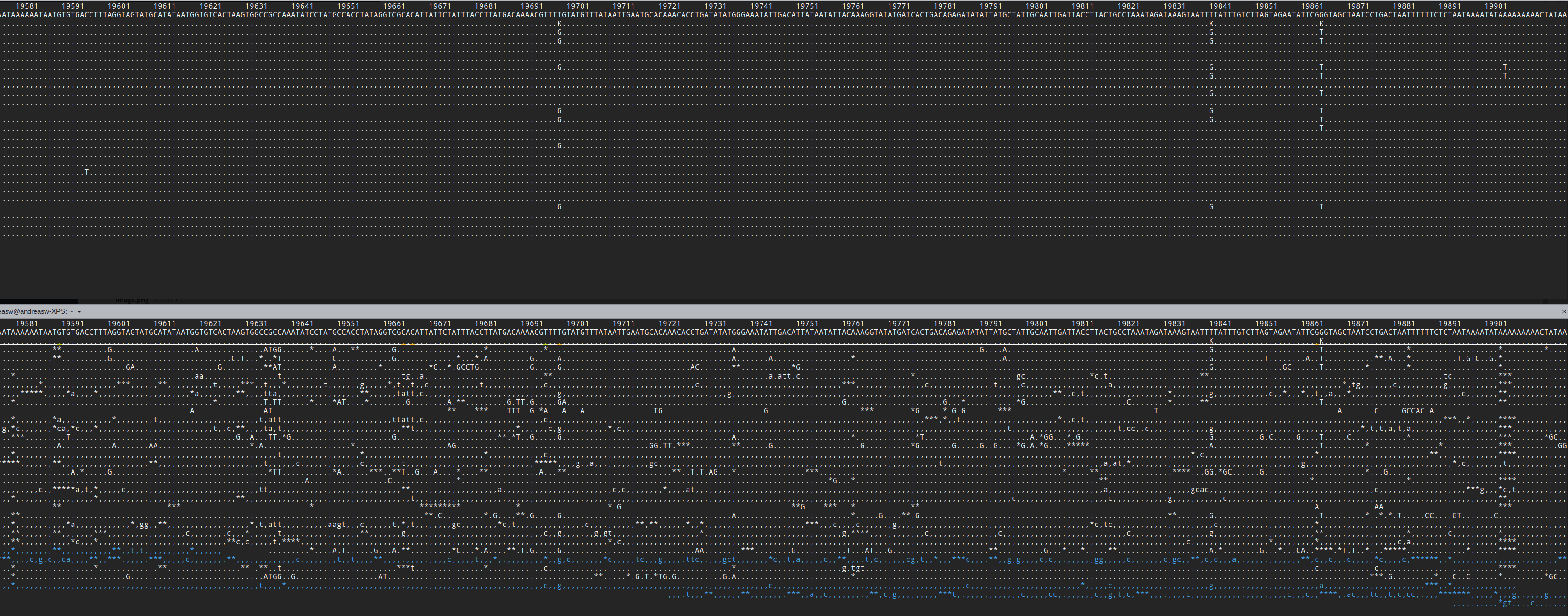 Advice and request on genome-guided polishing with BAM files · Issue #19 · DecodeGenetics ...