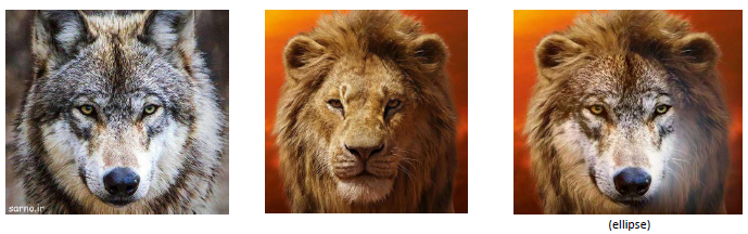 GitHub - kaushikram31/Pyramid-Blending