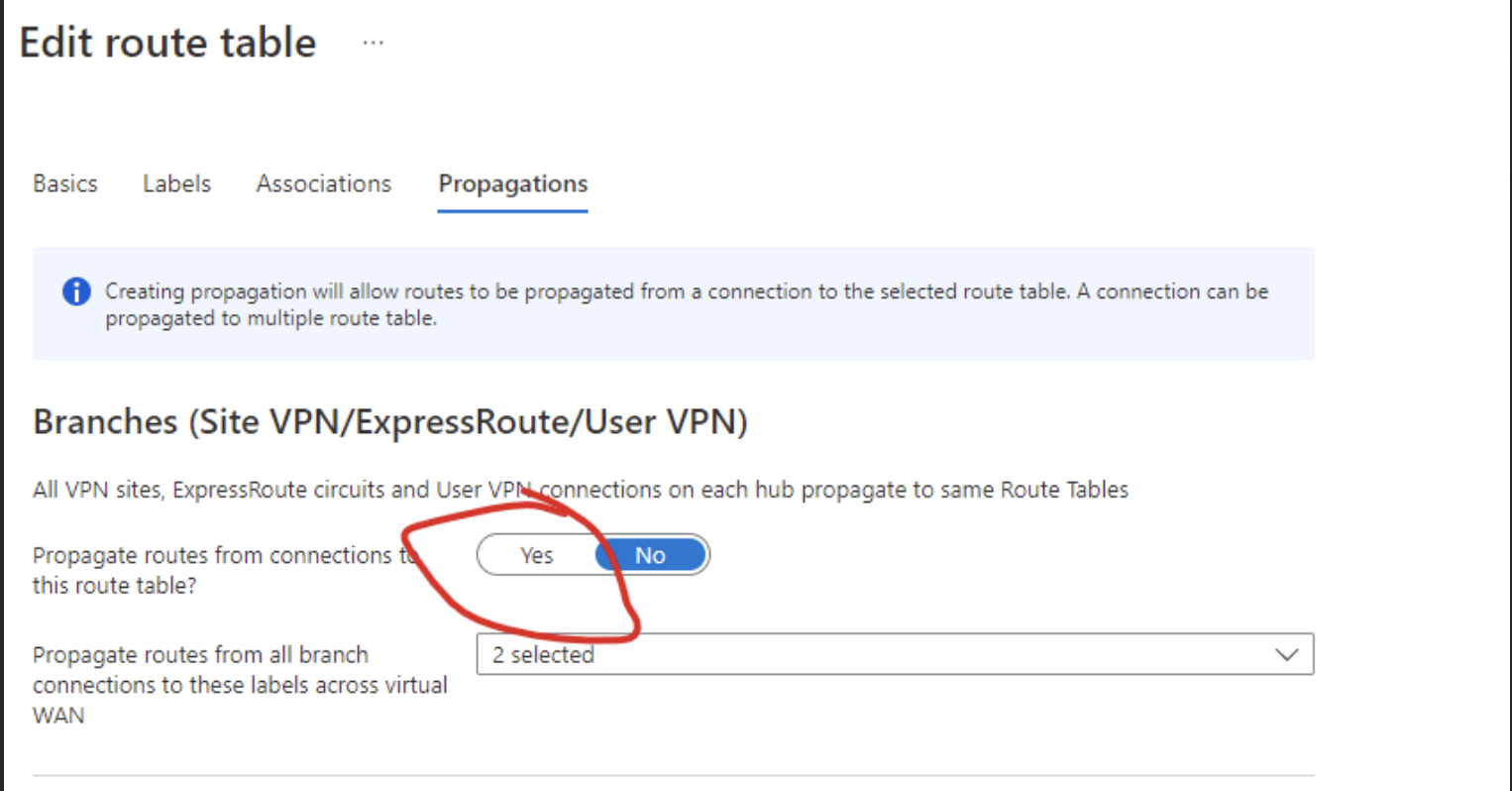 Support for Branches section in Virtual Hub Route Table · Issue #22200 · Azure/azure-rest-api ...
