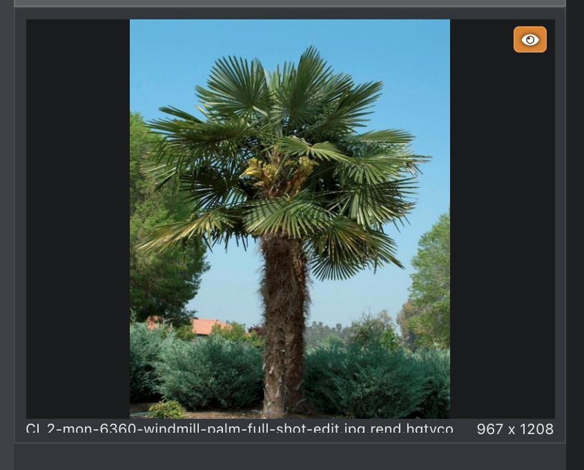 Sidebar Text Clipping · Issue 866 · Microsoft Vott · Github