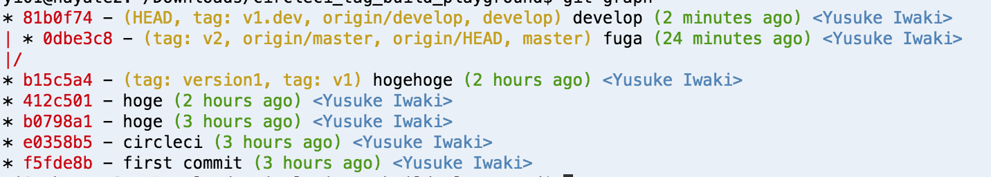 GitHub - YusukeIwaki/circleci_tag_build_playground
