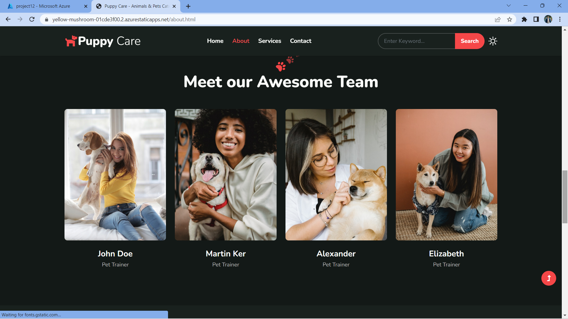 GitHub - Shaikmohammedarshad/project12