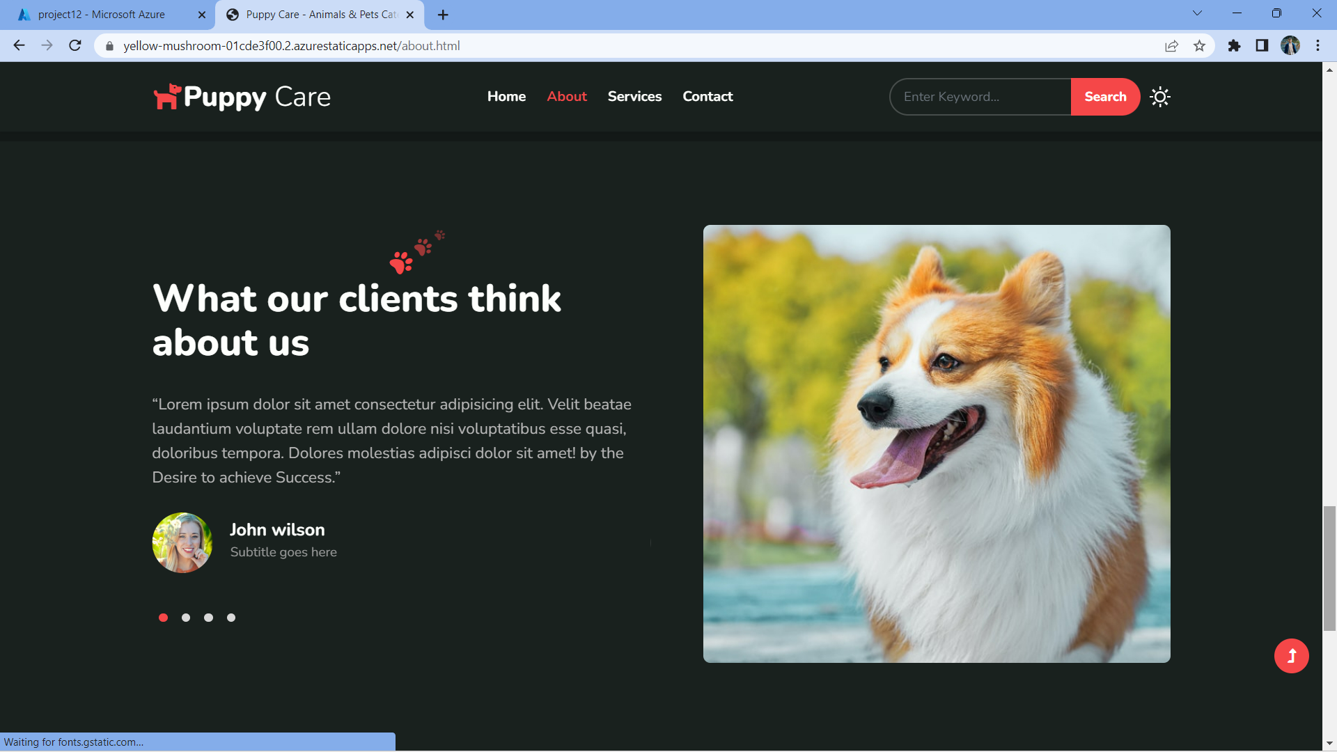 GitHub - Shaikmohammedarshad/project12