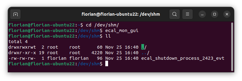 Linux: `ecal_shutdown_process_xxx_evt` is not removed on `eCAL::Finalise()` · Issue #886 ...