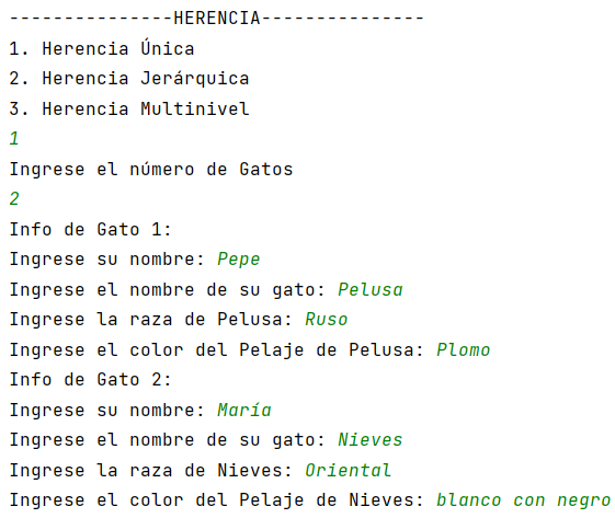 GitHub - brittanypallasco2003/Pilares-POO