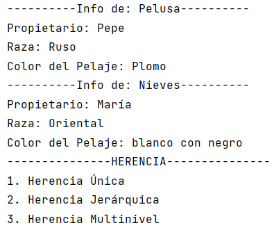 GitHub - brittanypallasco2003/Pilares-POO