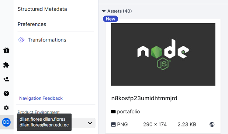 GitHub - dilan-flores/WEB_Portafolio: Portafolio