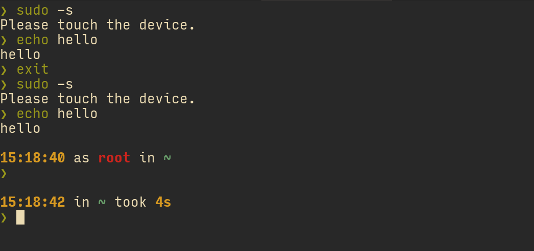 Transient prompt feedback · Issue #316 · romkatv/powerlevel10k · GitHub