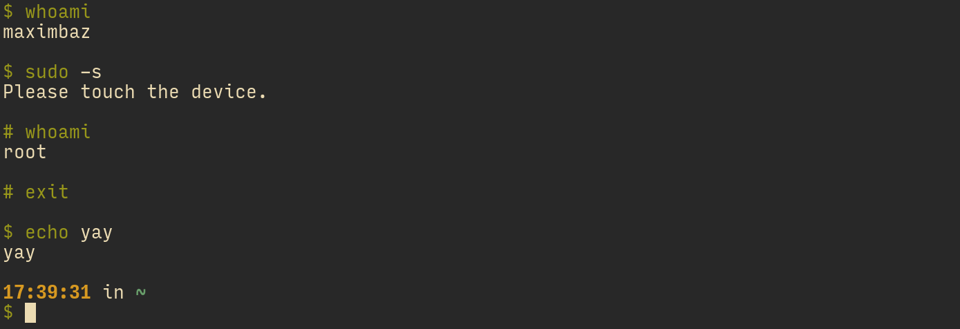 Transient prompt feedback · Issue #316 · romkatv/powerlevel10k · GitHub