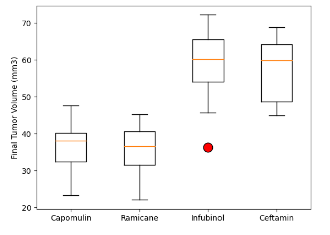 GitHub - dianeooty/pymaceuticals-analysis