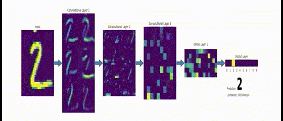 GitHub - joon725/Ai-Project---Flower-Recognition-Model