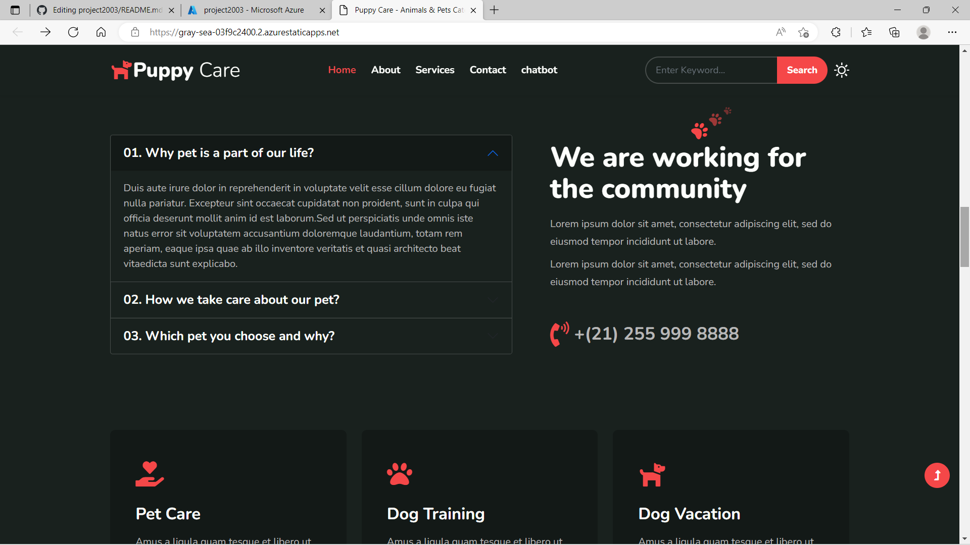 GitHub - Palaniteja/project2003