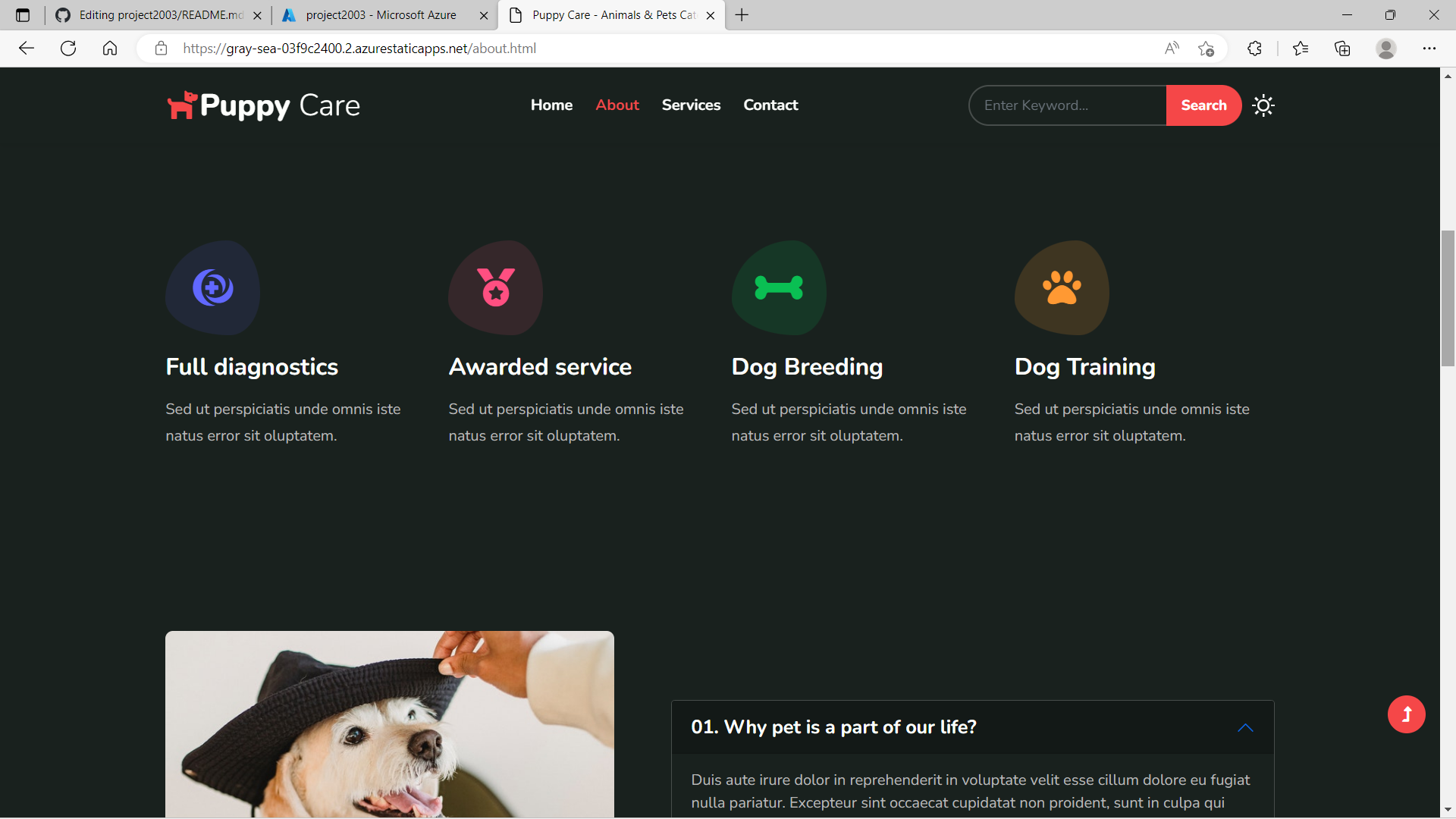 GitHub - Palaniteja/project2003