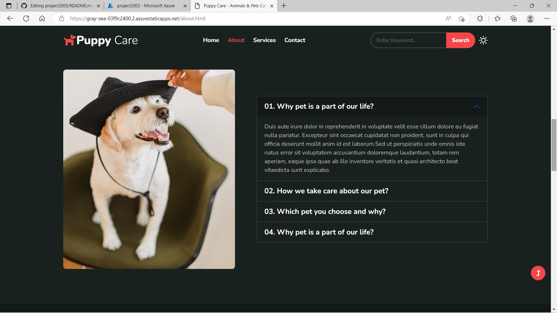 GitHub - Palaniteja/project2003