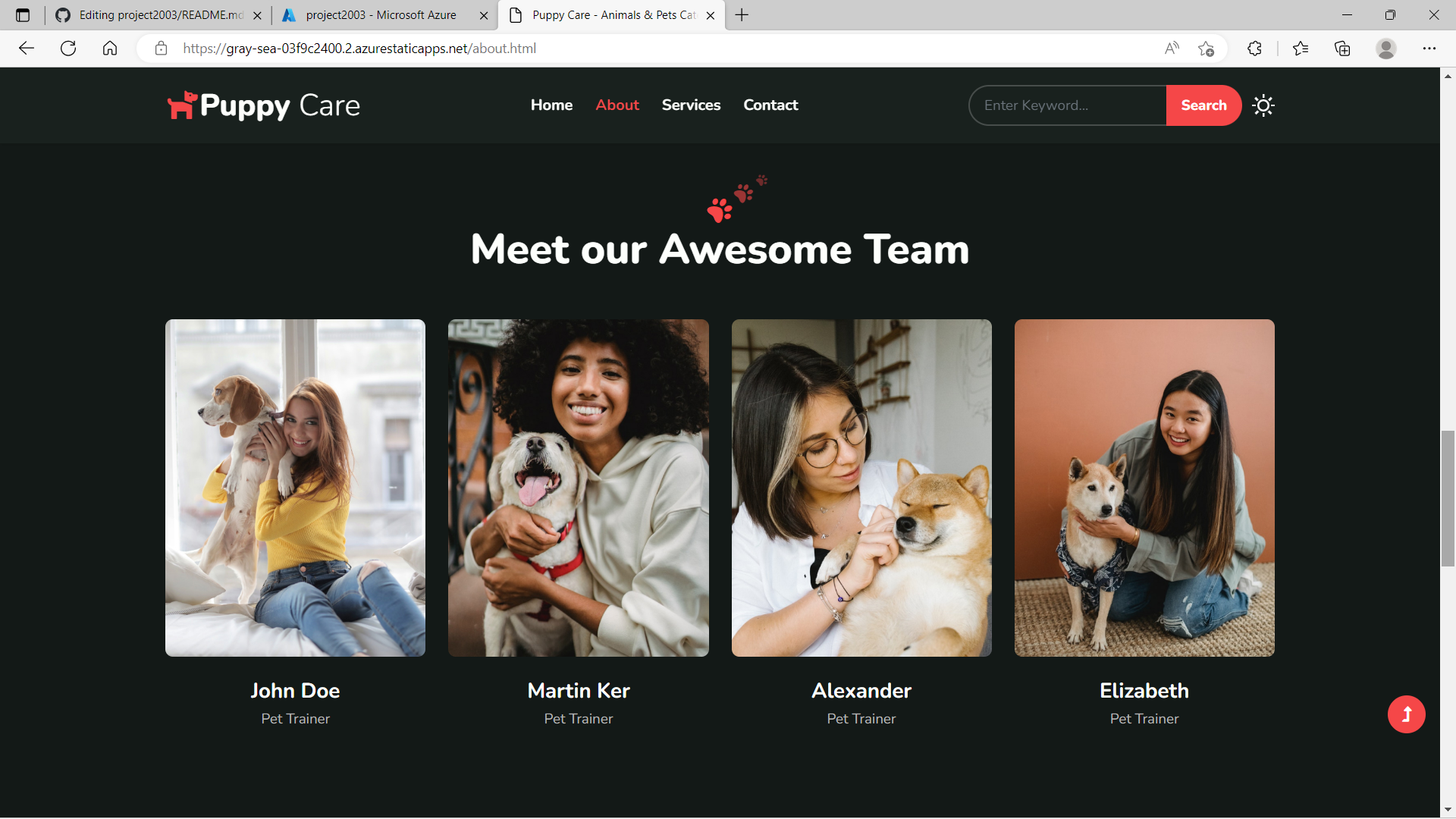 GitHub - Palaniteja/project2003