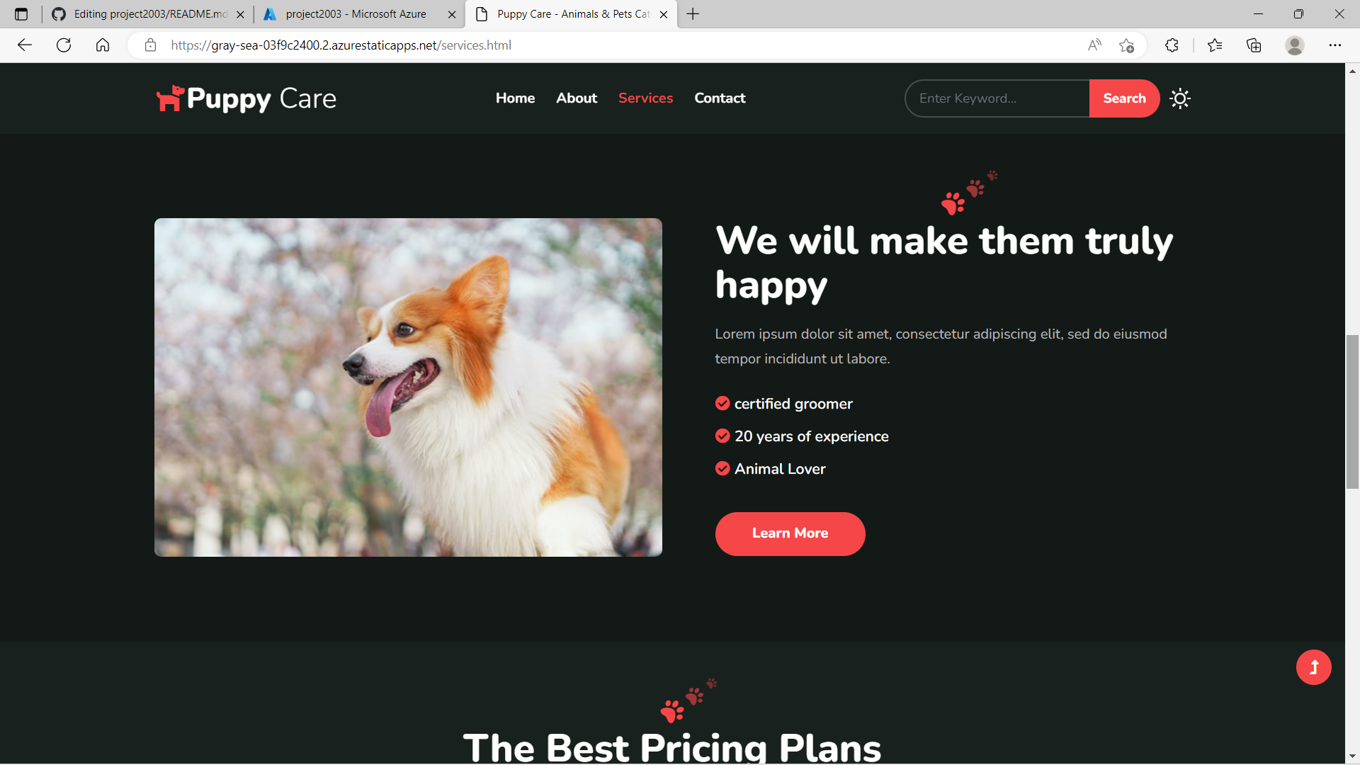 GitHub - Palaniteja/project2003