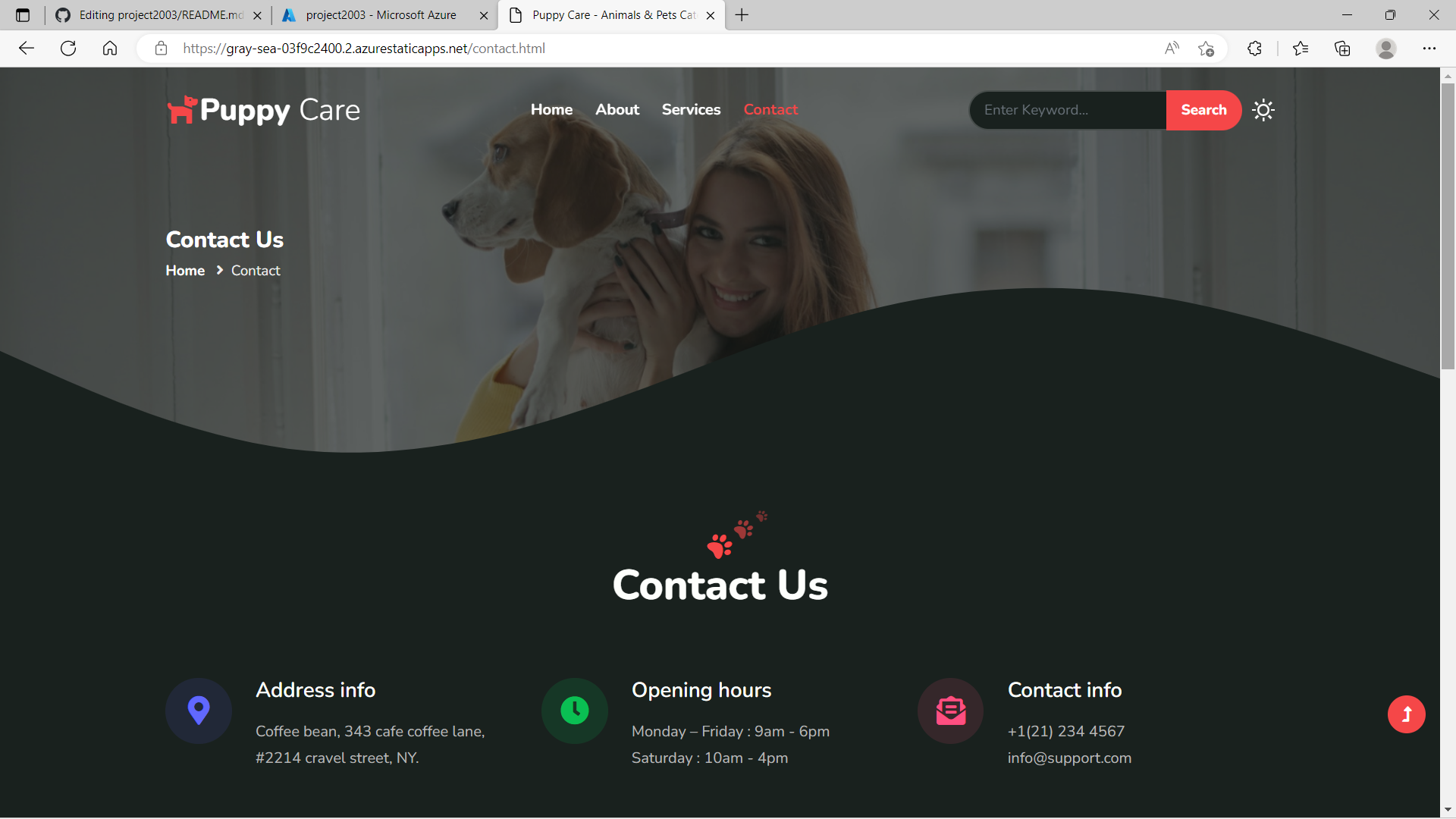 GitHub - Palaniteja/project2003