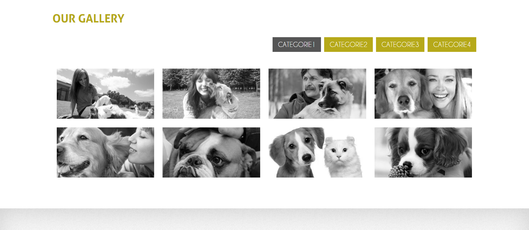 GitHub - PasupulaManjunath54/frtproject