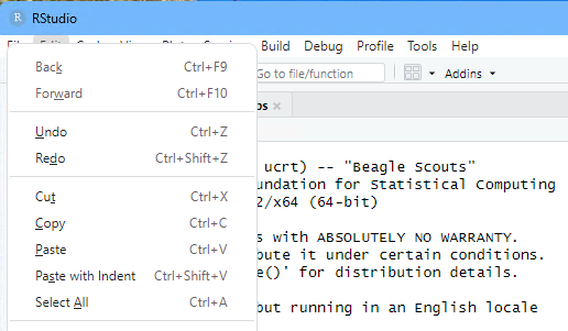 Menu items obscuring menu bar in RStudio Desert Sunflower · Issue #13457 · rstudio/rstudio · GitHub