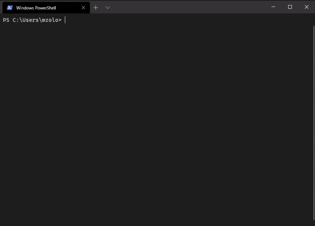 Wsl 2 Wsl Command Randomly Exits Immediately With Exit Code 1 · Issue 5342 · Microsoftwsl 