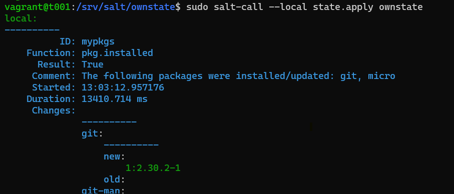 GitHub - sannnir/Project-My-own-Salt-state