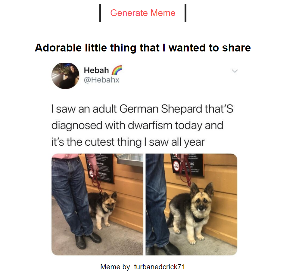 GitHub - Slygoross/Meme-Generator: This Repository contains the project ... GitHub - Slygoross/Meme-Generator: This Repository contains the project ...