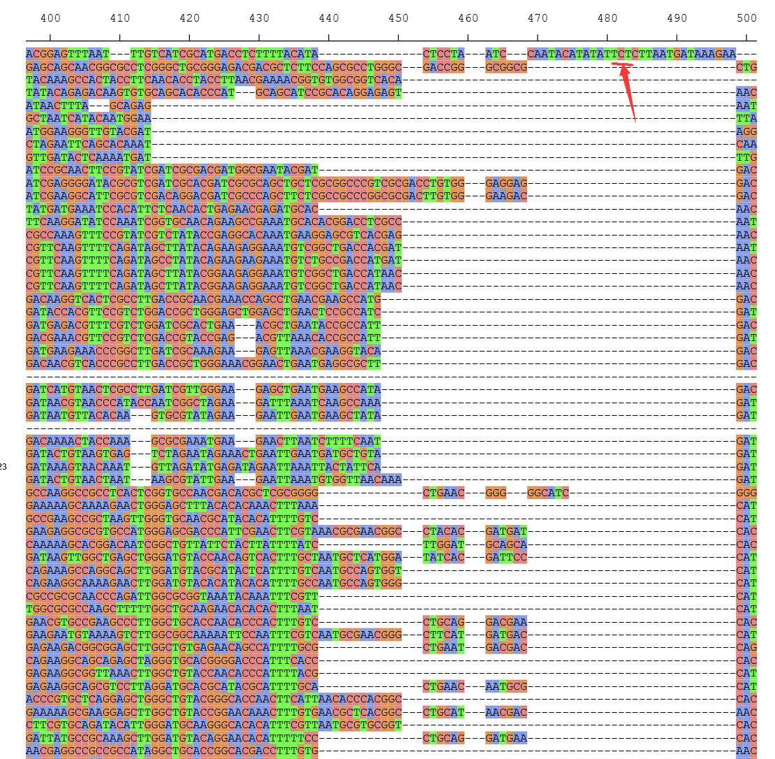 Interpret the results of the MEME model · Issue #1639 · veg/hyphy · GitHub