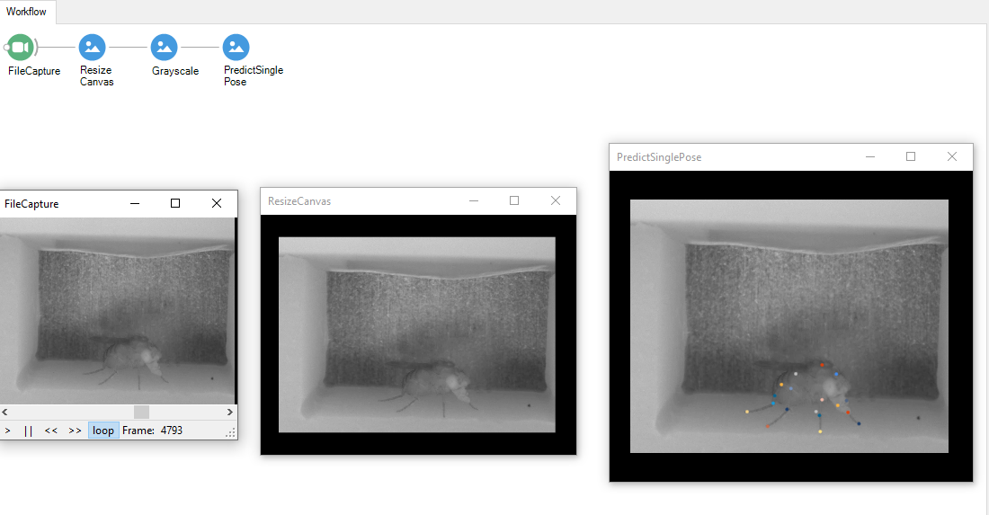 SLEAP root error ConcatOp unequal shapes · bonsai-rx · Discussion #1312 ...