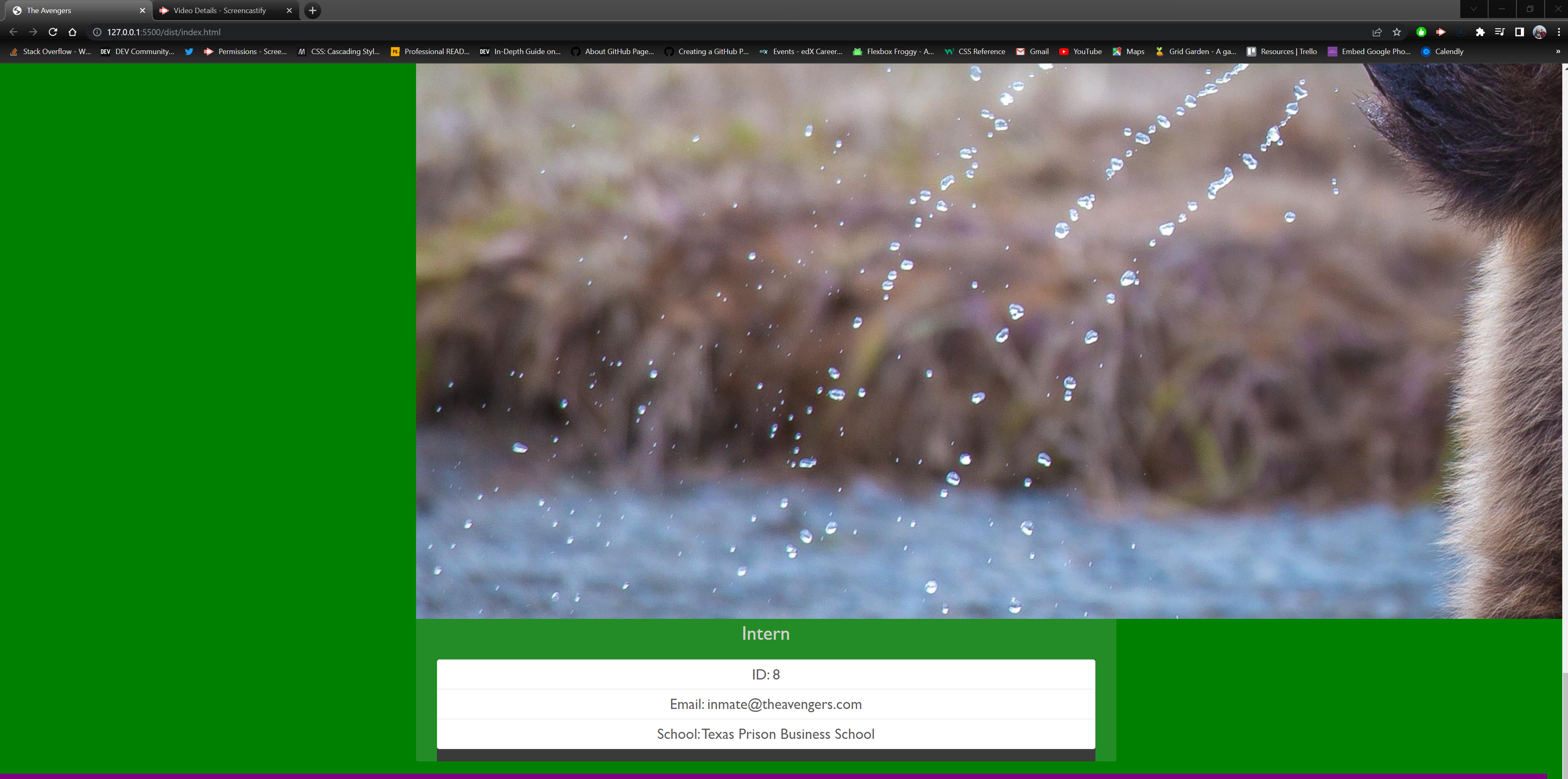 GitHub - snerowski/team-profile-generator