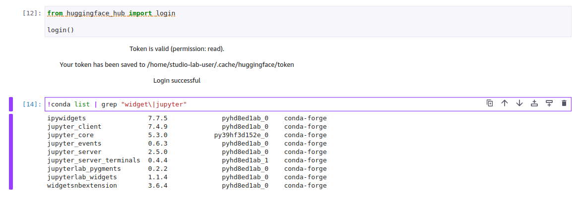 `huggingface_hub.notebook_login` fails on AWS Sagemaker Studio · Issue #1569 · huggingface ...