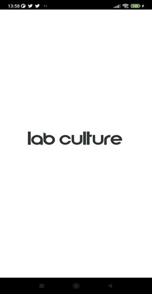 GitHub - Altevir/flutter_lab_culture