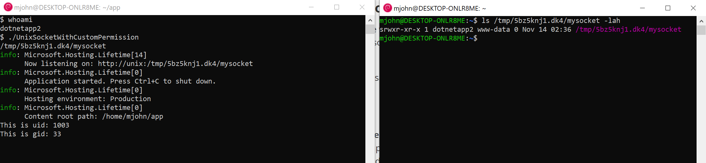 allow setting permissions on unix sockets · Issue #17706 · dotnet/aspnetcore · GitHub