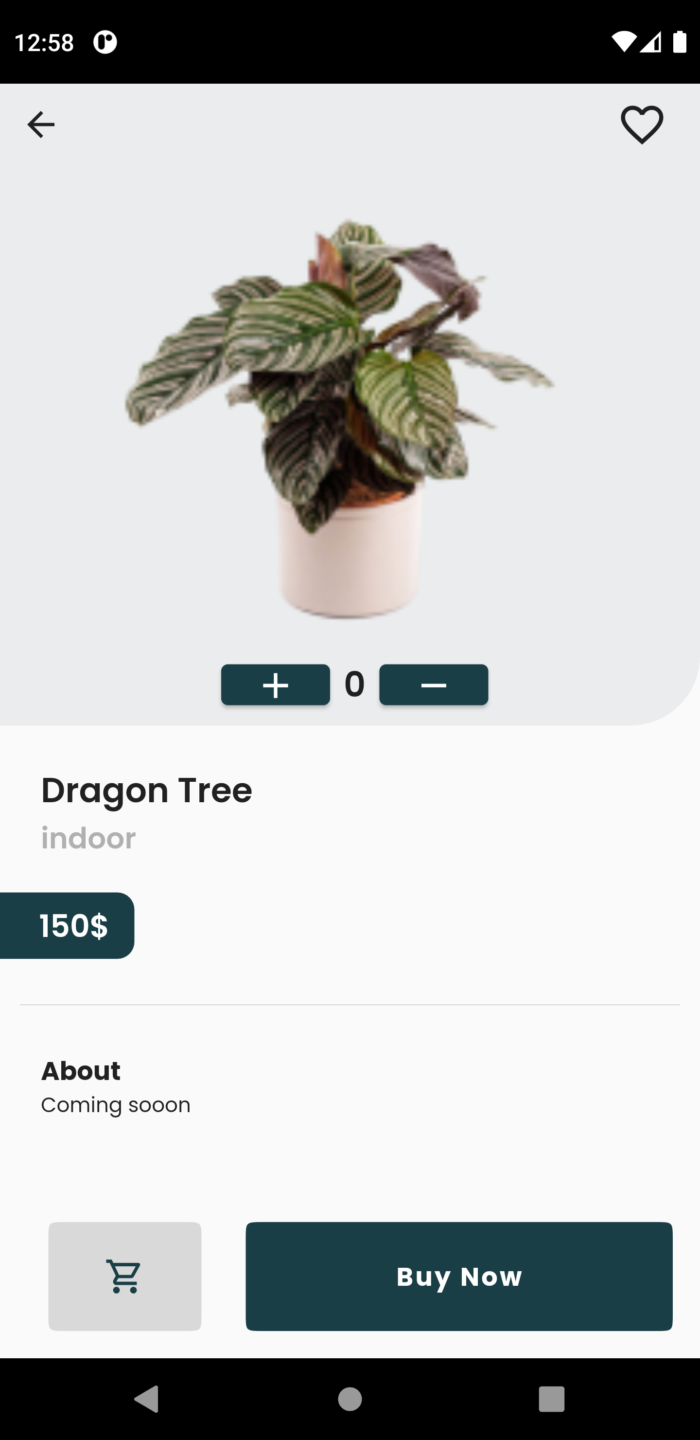 GitHub - SFADev/Flutter-PlantsShop-UI: UI of plants shop using Flutter.