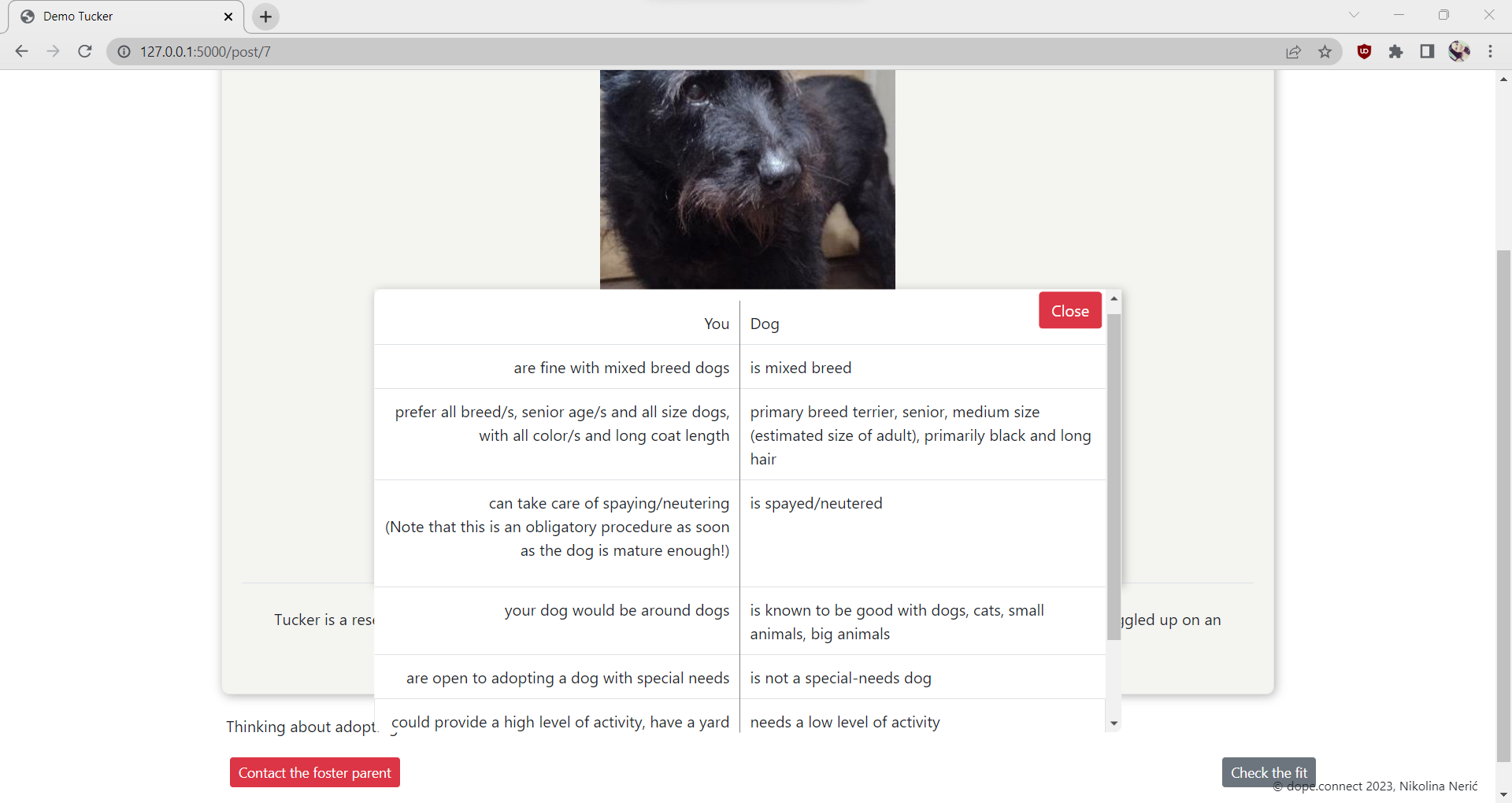 GitHub - nikolinaneric/Dogs-adoption-platform: Interactive platform for ...