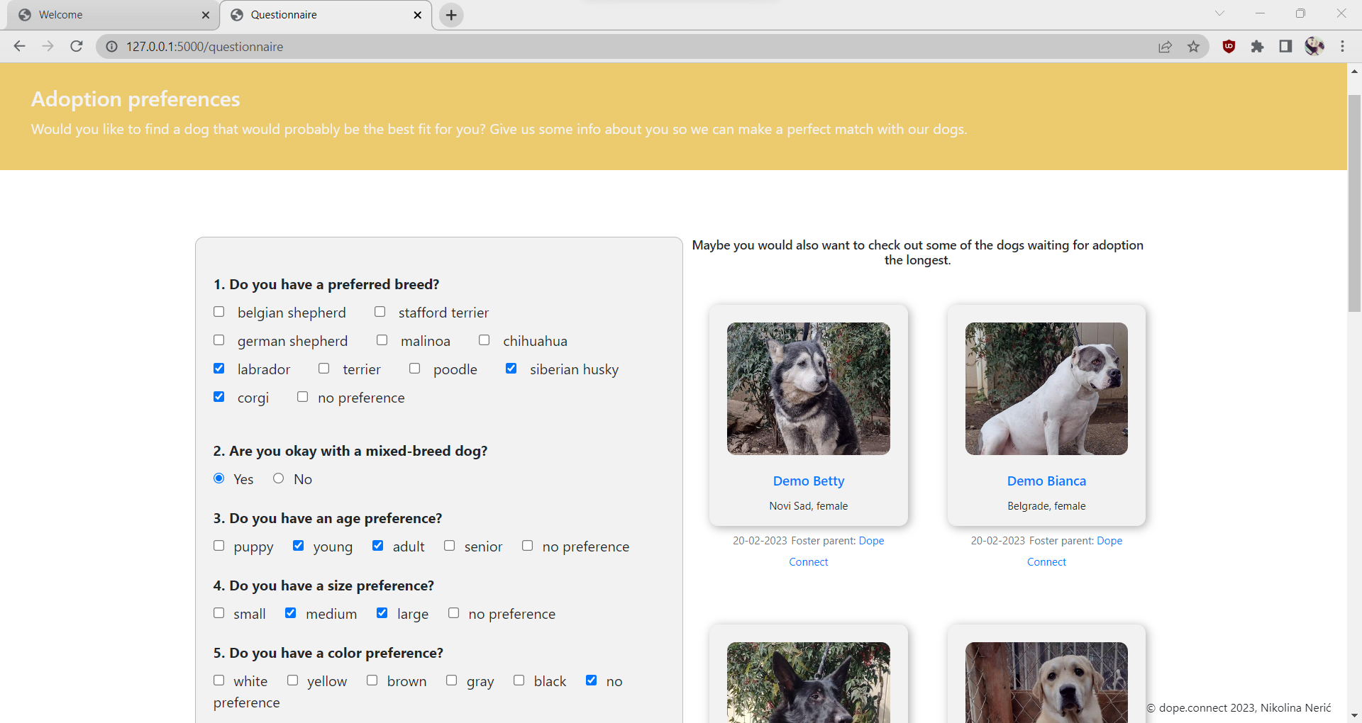 GitHub - nikolinaneric/Dogs-adoption-platform: Interactive platform for adopting dogs with the ...