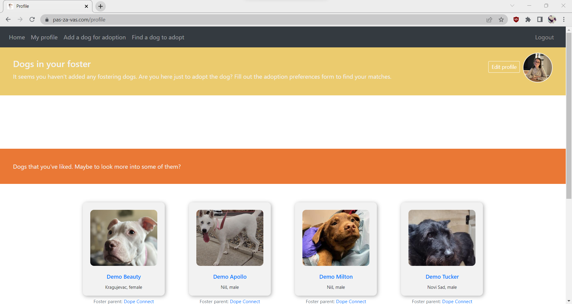 GitHub - nikolinaneric/Dogs-adoption-platform: Interactive platform for ...