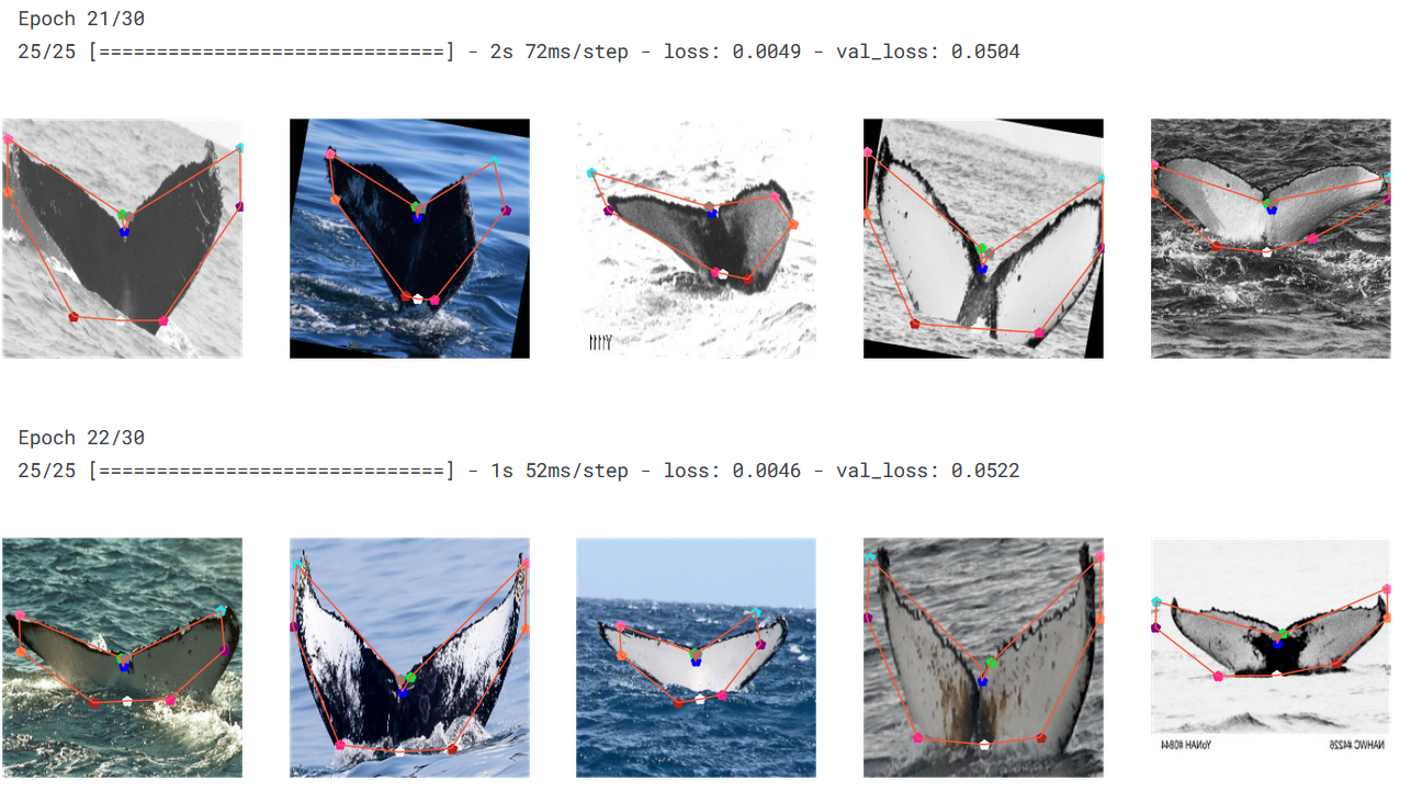 GitHub - DeepNets-US/Humpback-Whale-Keypoint-Detction-MobileNetV2