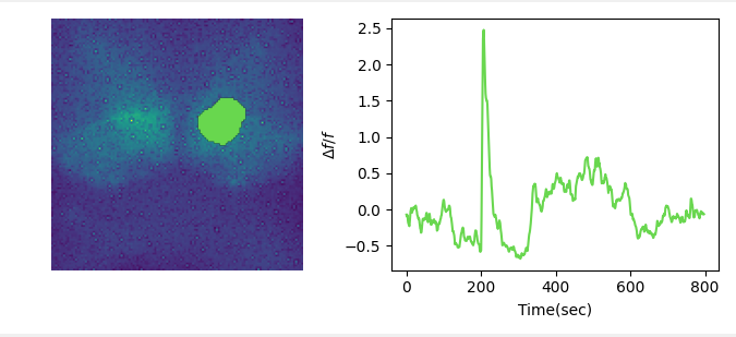 Github Gklab Gitfly Brain Analysis App This Simple Qt Based Gui Allows Users To Load