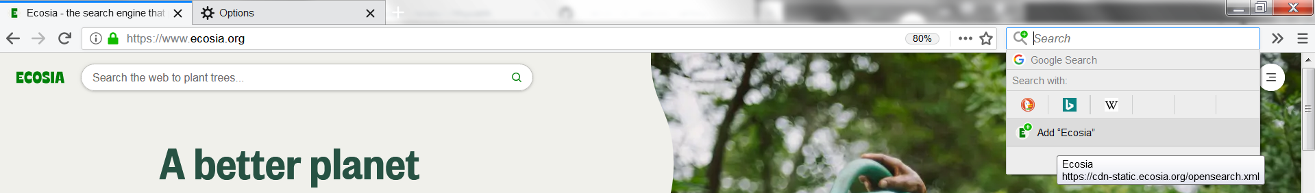 2 errors (in Options): setting update, adding search engine · Issue #94 ...
