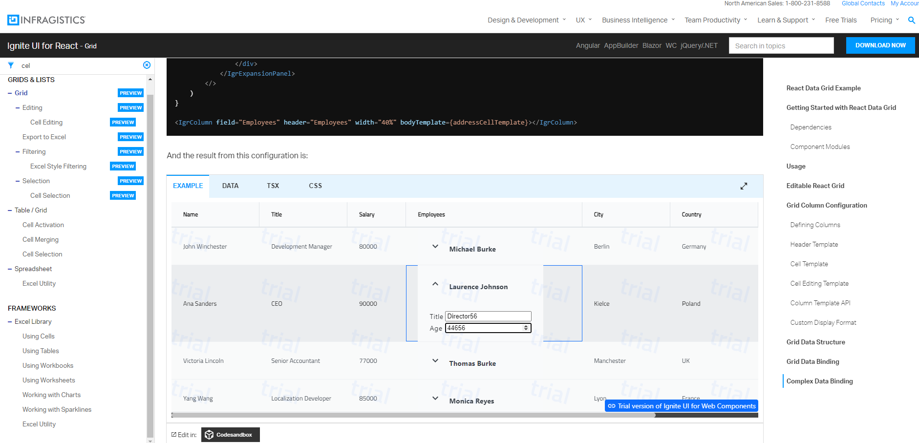 Grid Nested Data Binding Need Better Styling · Issue 392 · Igniteui